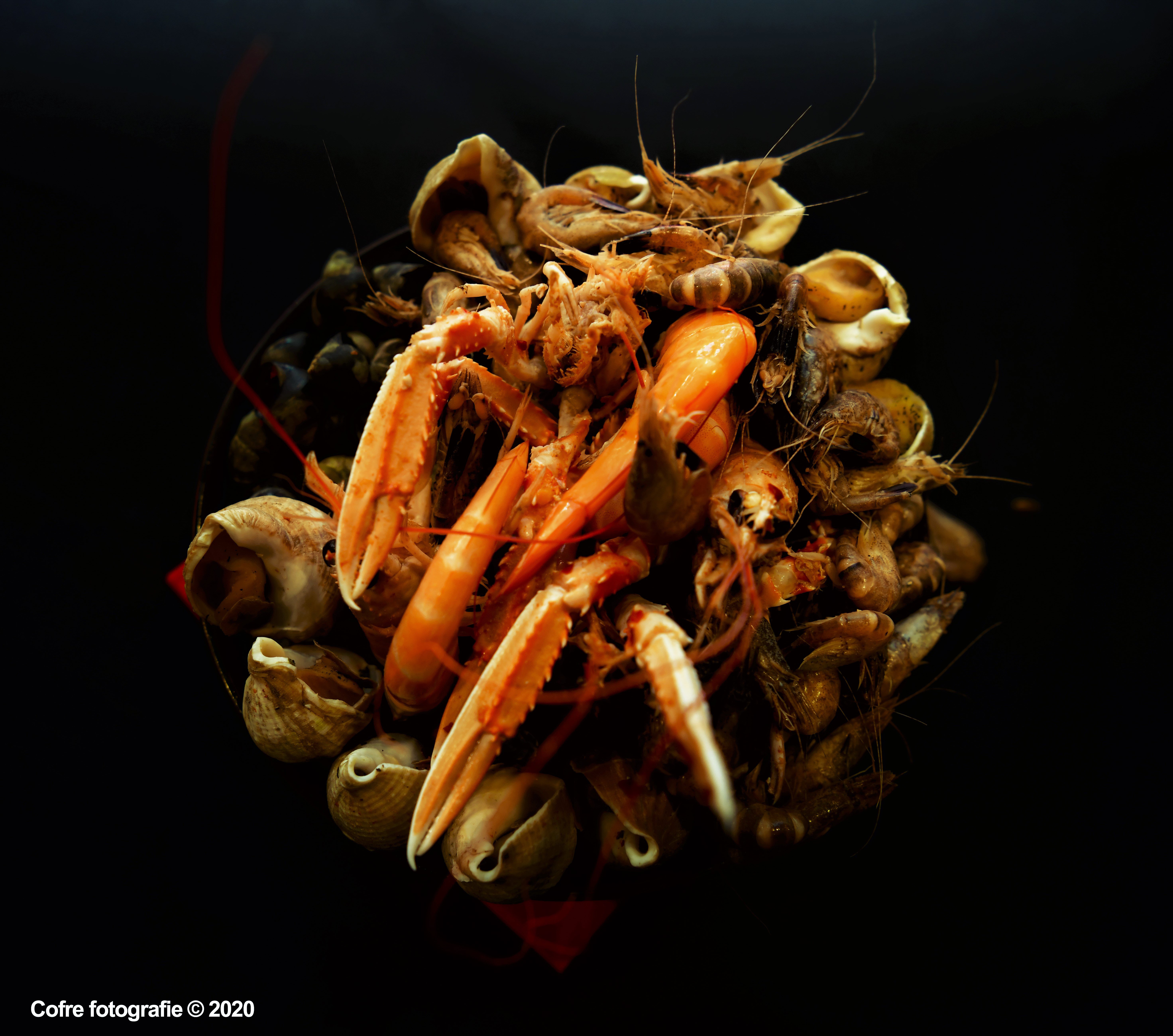 APERO FISH PALACE - Tapas Restaurant - Oostende 8400